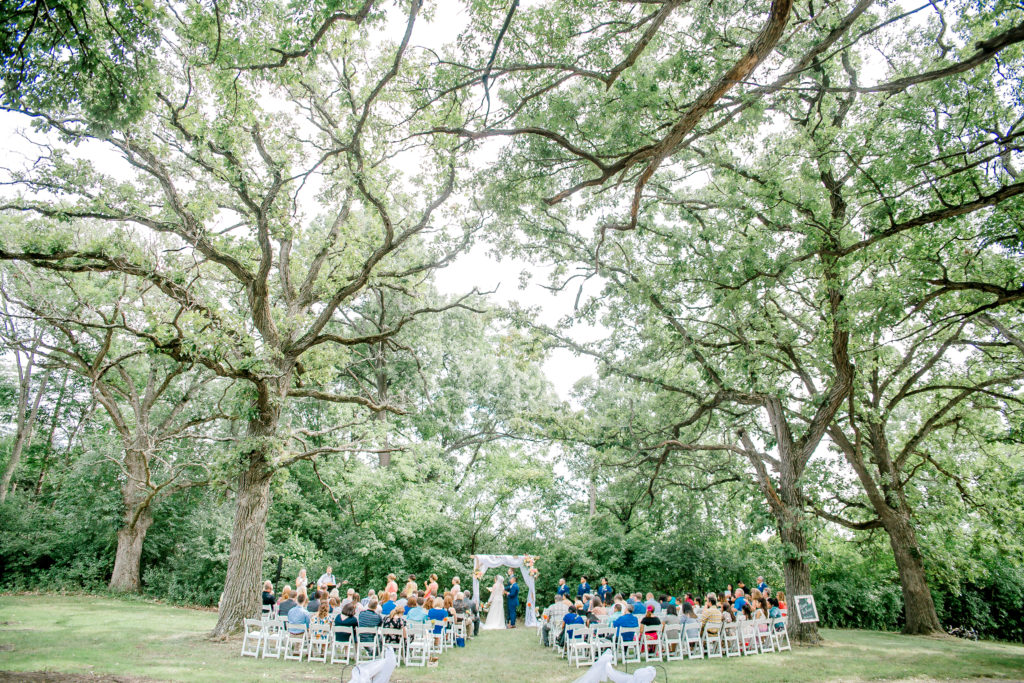 Emricson Park in Woodstock IL romantic summer wedding