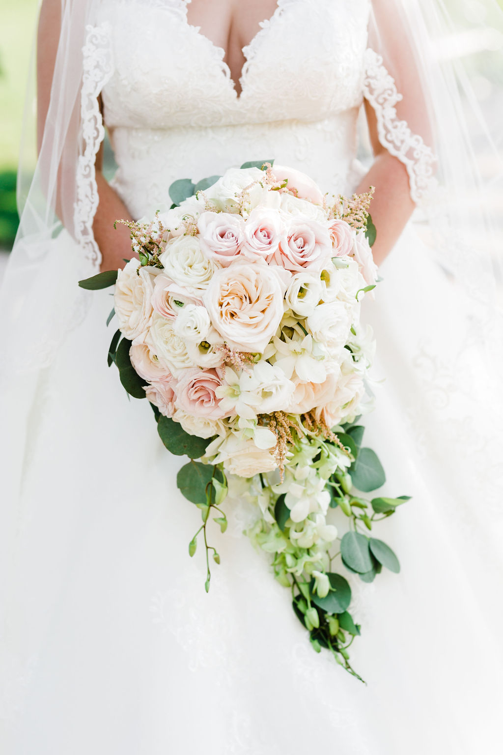 Lone Tree Manor Chicago Wedding