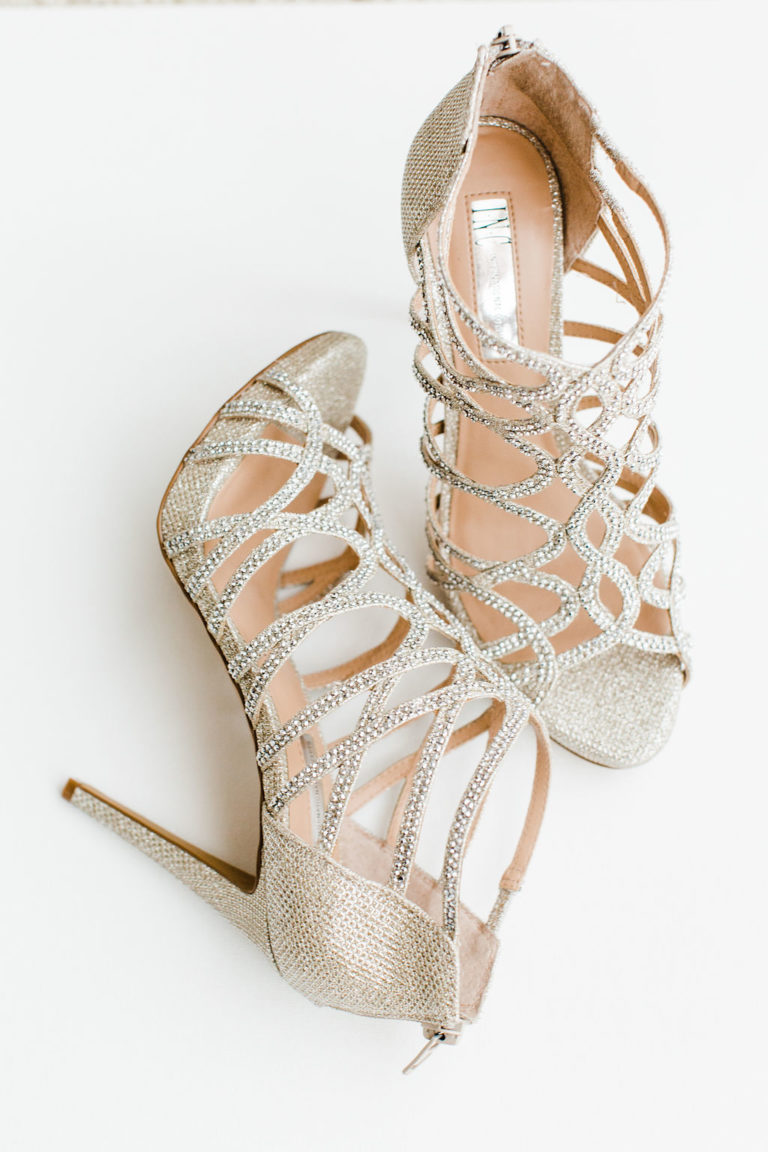 Lone Tree Manor Chicago Wedding