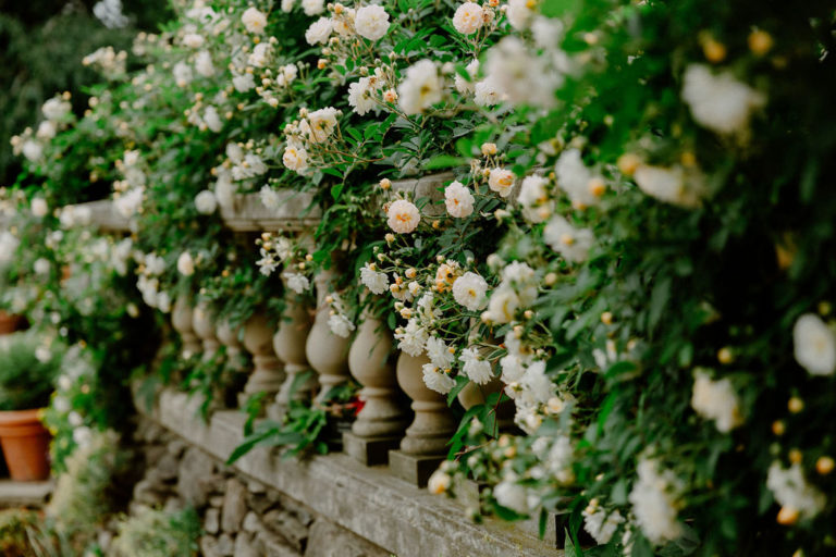 Chicago Botanic Garden summer wedding