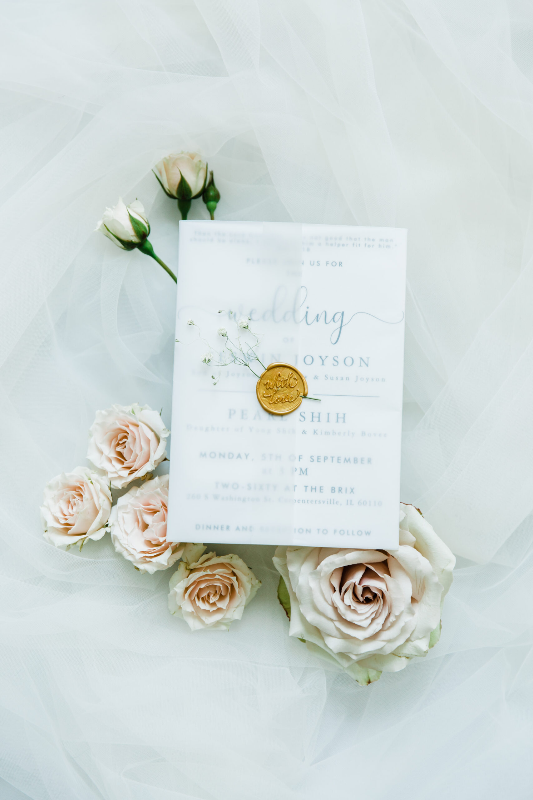 Guide to Writing a Great Review for Your Photographer
